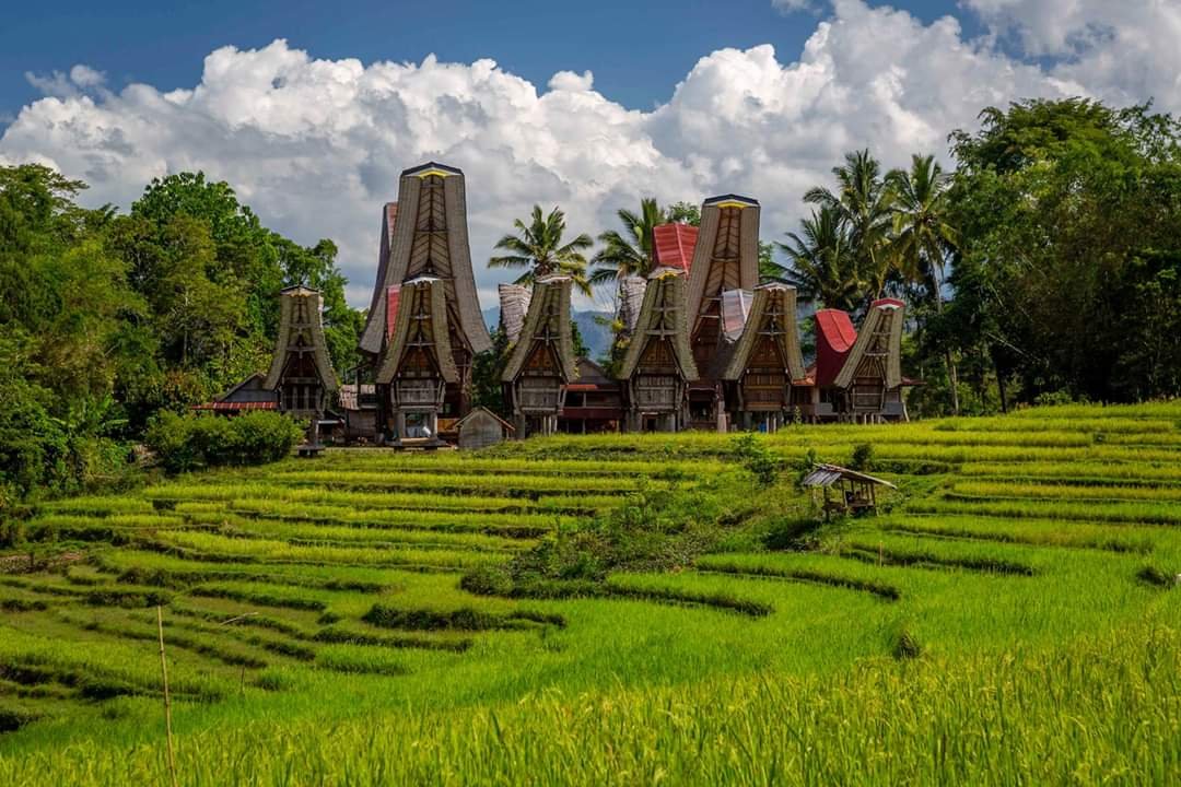 Uw en andere reiservaringen bij Sulawesi Travel